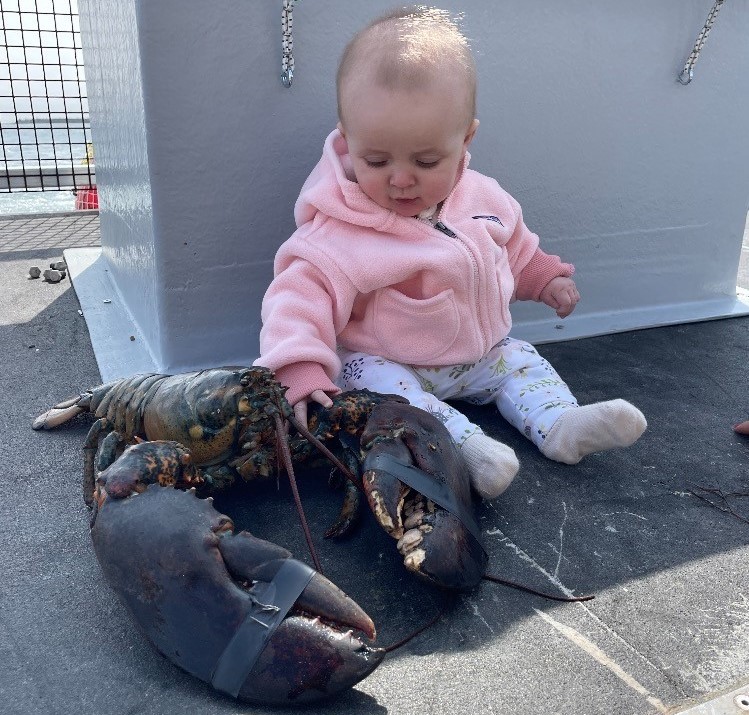 Your Investment Solution - Lee Miles Advisory Team